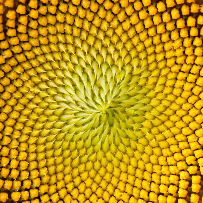 About Cargill | Cargill Japan